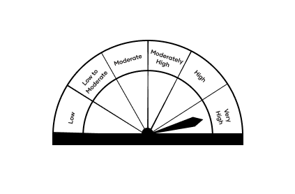 Shriram Balanced Advantage Fund | Shriram Mutual Funds
