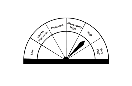 Shriram Balanced Advantage Fund | Shriram Mutual Funds